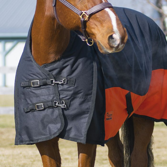 Clearance Equine Wear – Prairie Rose Equestrian Boutique